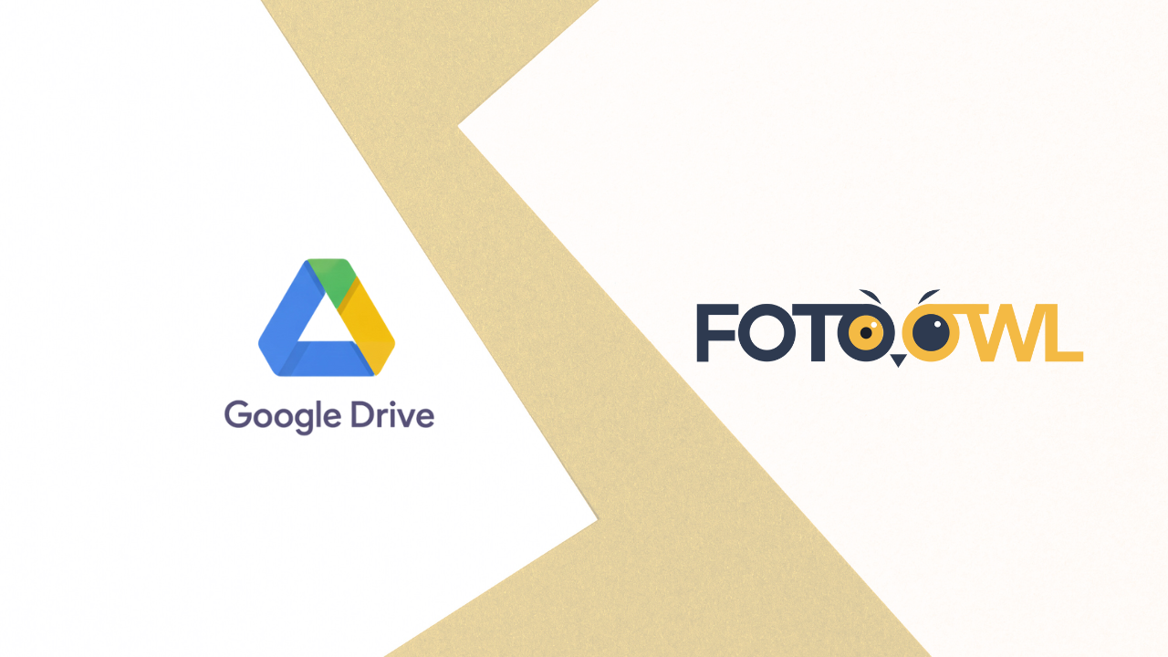 Google Drive vs FotoOwl — Best Platform for Sharing Photo Galleries (2025)